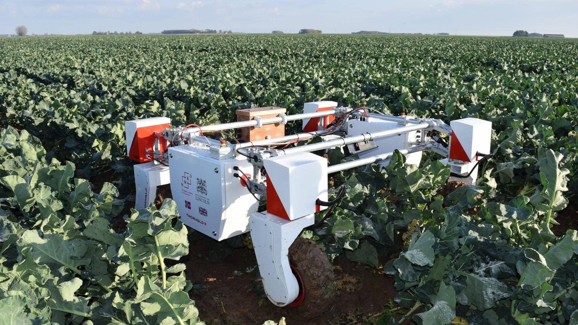 Barclays launches Eagle Lab Farm to boost future of UK agriculture ...