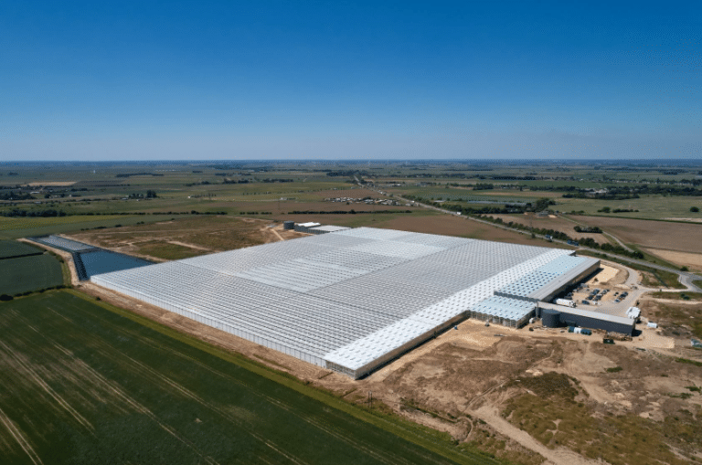 Bridge Farm Group blossoms following £29m investment - Business Money