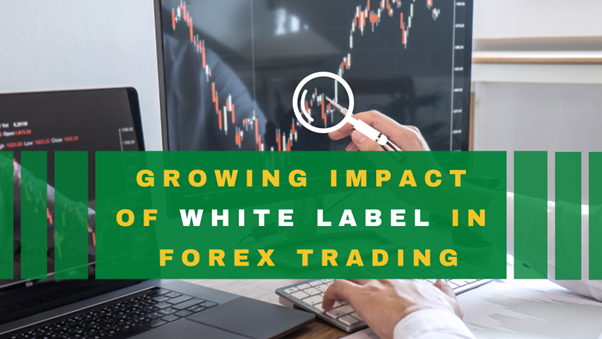 The growing impact of white label solutions programs on forex trading ...